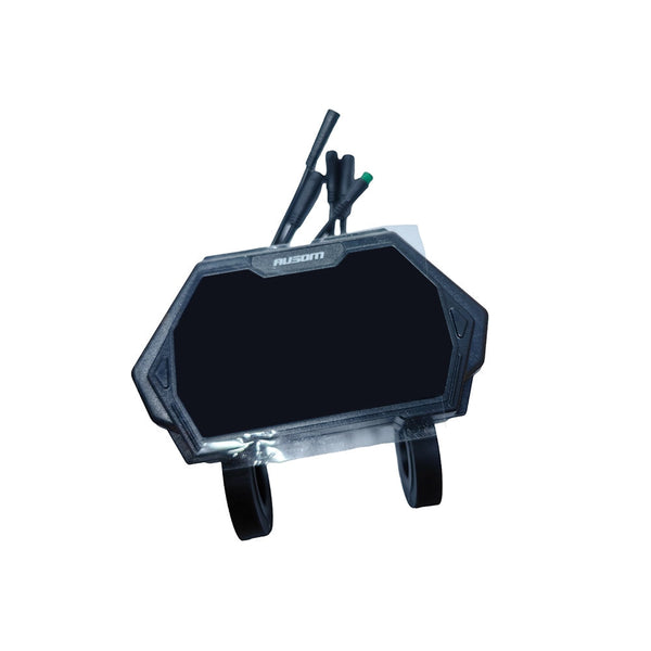 Ausom Leopard Display - Stunning Decorative Wall Art for Your Space